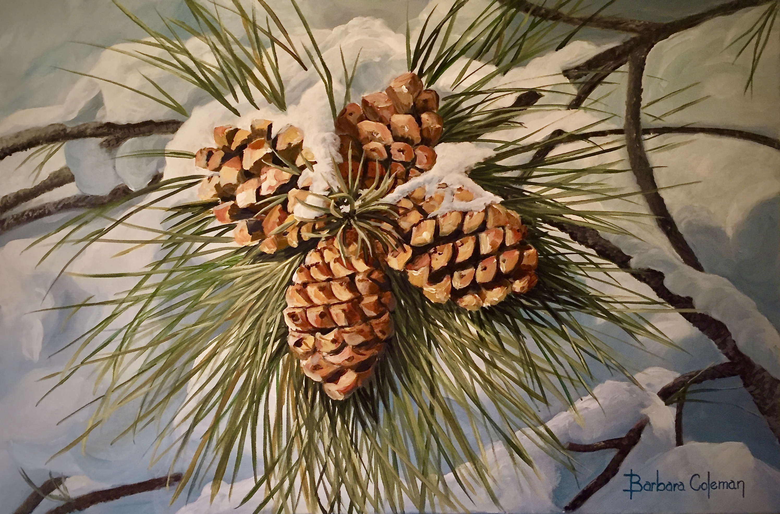 Evergreen | A Suffering Artist